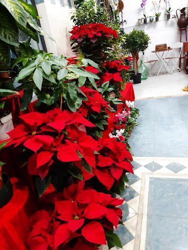 ARTE FIORI di Lorella Mistretta - Angoli Verdi