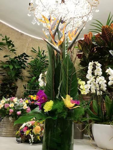 Angelo Radaelli Fioraio - Angoli Verdi