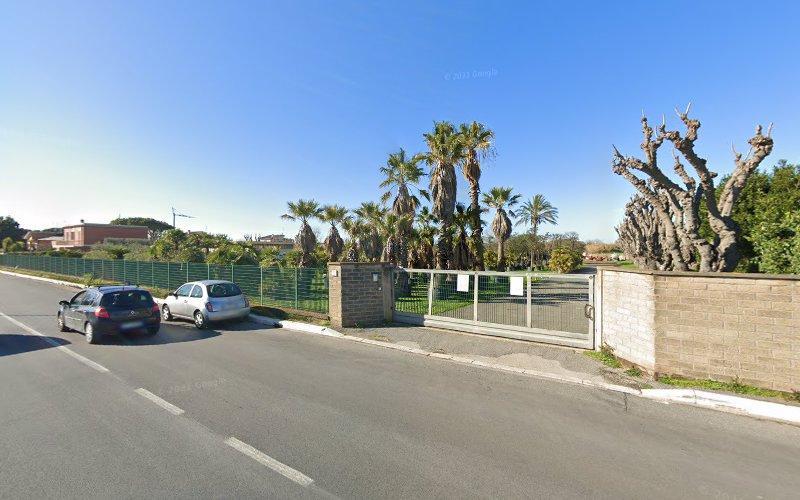 Angeloni Angelo Srl - Angoli Verdi