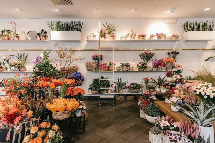 Anna Flower Designer - Angoli Verdi