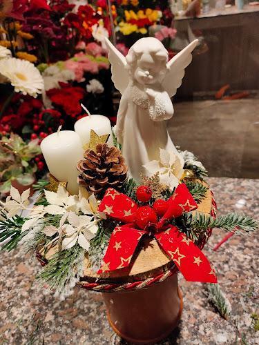 Anna fiori di Cappellini Annamaria - Angoli Verdi