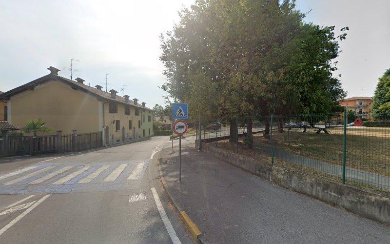 Balduzzi Laura - Fiori E Piante - Angoli Verdi