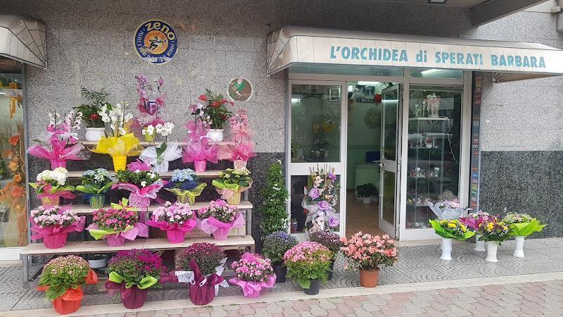 Barbara Fiori tor vergata - Angoli Verdi