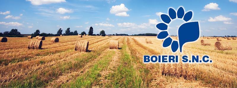 Boieri Snc - Angoli Verdi