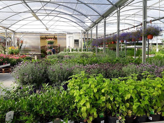 Comella Garden - Angoli Verdi