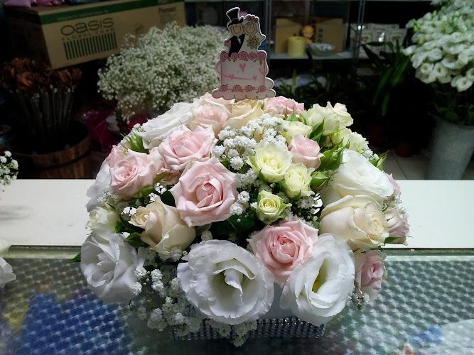 D'D. flor di D'alessandro Debora - Angoli Verdi