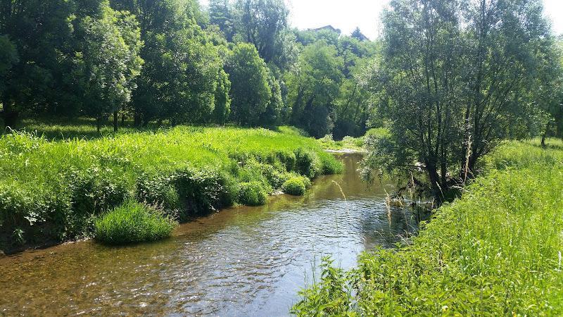 Defendi Francesco Mario - Gorla Maggiore - Angoli Verdi