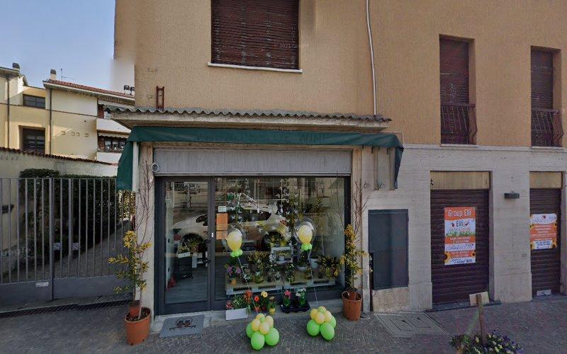 ELLI Giardini & Spurghi Srl.s - Angoli Verdi