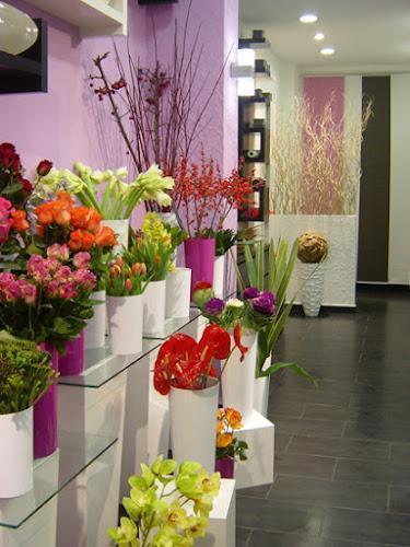 FLOR de LIS - Angoli Verdi