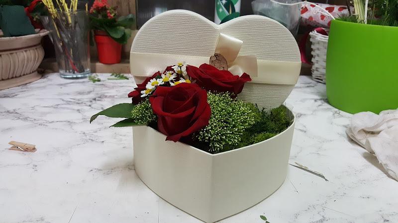 Farfy Flowers di Morelli Giulia - Angoli Verdi