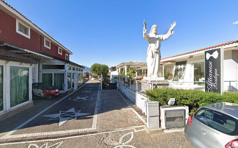 Fbf Farma Bulbi Fiori Di Cascone Francesco Sas - Angoli Verdi