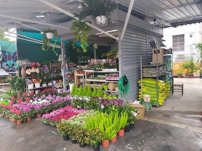 Fioraio MIDO - Angoli Verdi