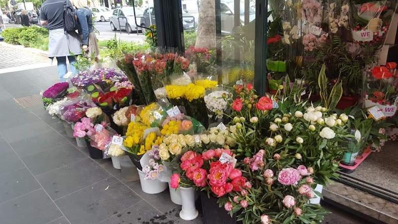 Fioraio - Angoli Verdi