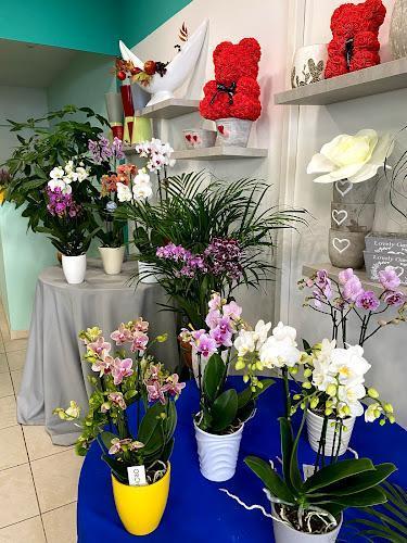 Fioraio Rosy Flowers - Angoli Verdi