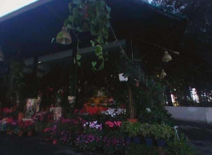 Fioraio Sabry - Angoli Verdi