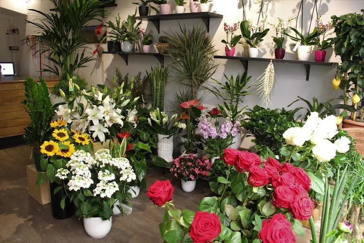 Fioreria Re - Angoli Verdi