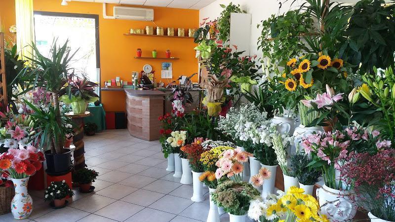 Fioreria Vanotti di Marco Bentivegna - Angoli Verdi