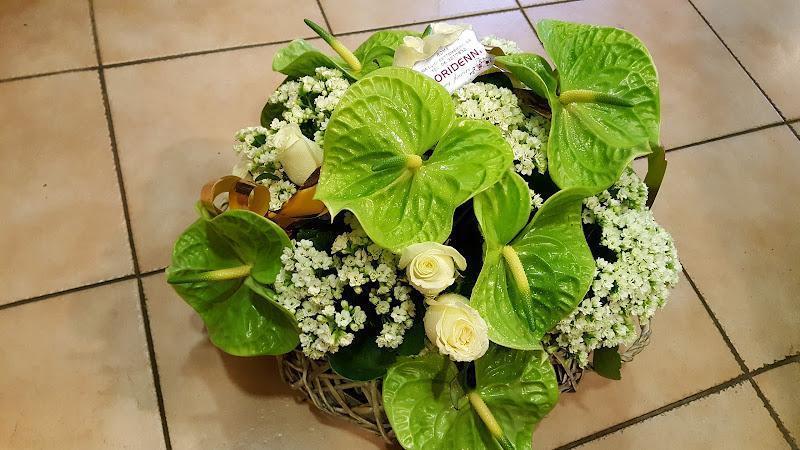 Fioridenni Fioraio Roma Prati - Angoli Verdi