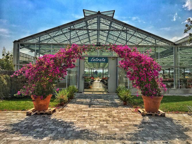 Florama Garden - Angoli Verdi