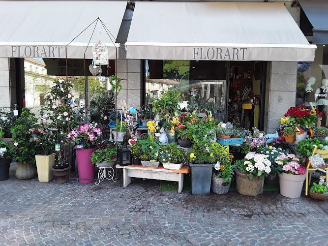 Florart - Angoli Verdi