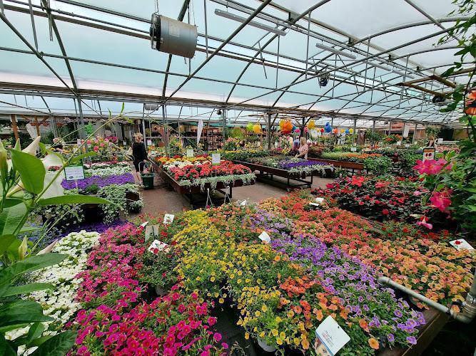 Flover Garden di Bussolengo - Angoli Verdi