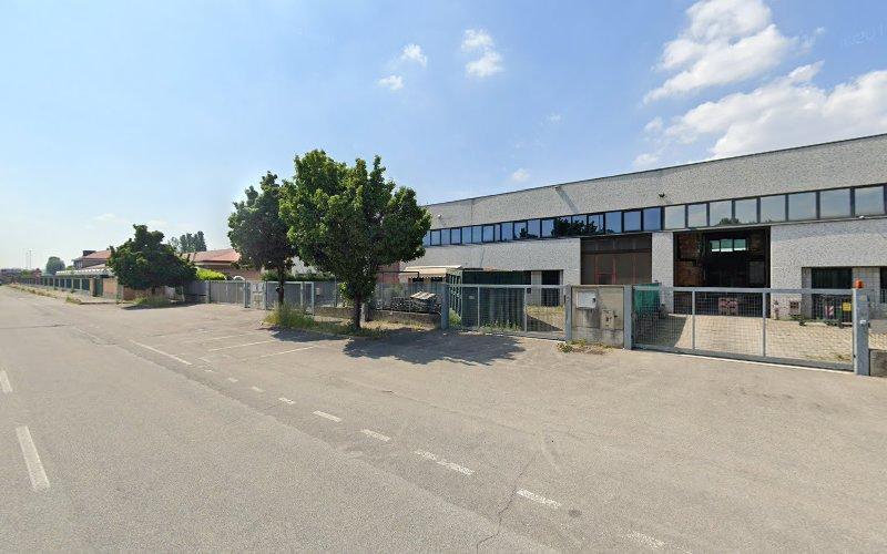 Flower Srl - Angoli Verdi