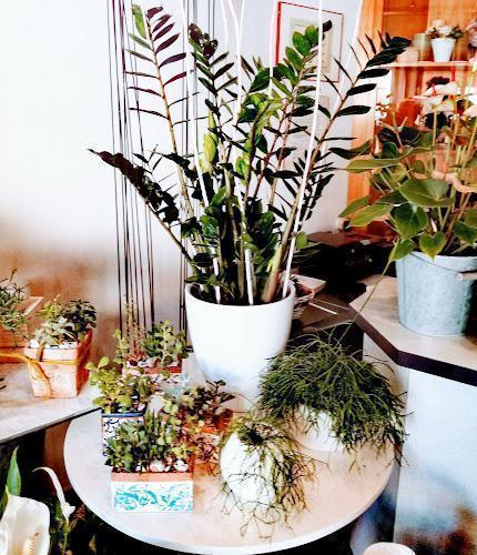 Gabriella Baruffaldi - Angoli Verdi