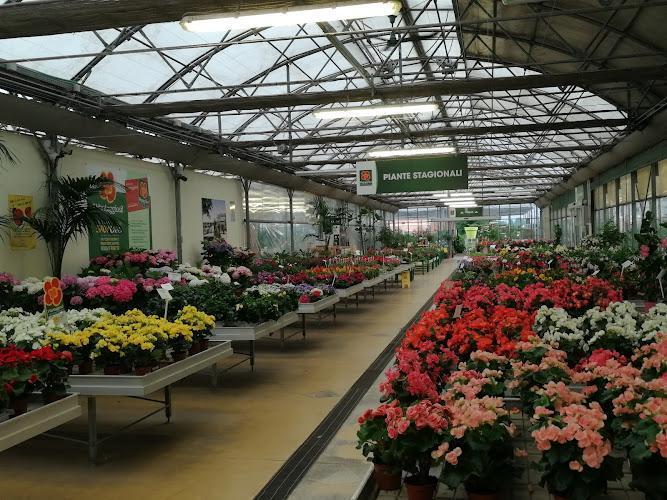 Happyflor - Angoli Verdi