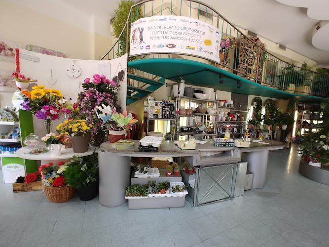 Il Balzo - Angoli Verdi