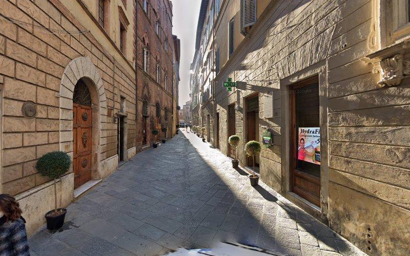 Il Bouquet Di Carla Tozzi & Silvia Fiorenzani Snc - Angoli Verdi