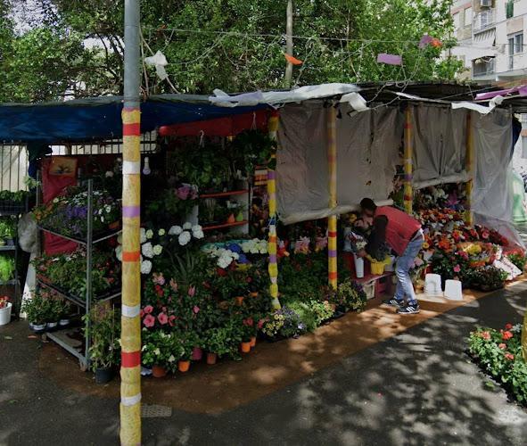 Il Fioraio - Angoli Verdi