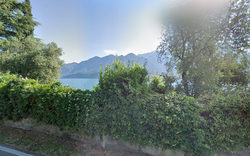 Il Giardino Di Barutta Pietro - Angoli Verdi