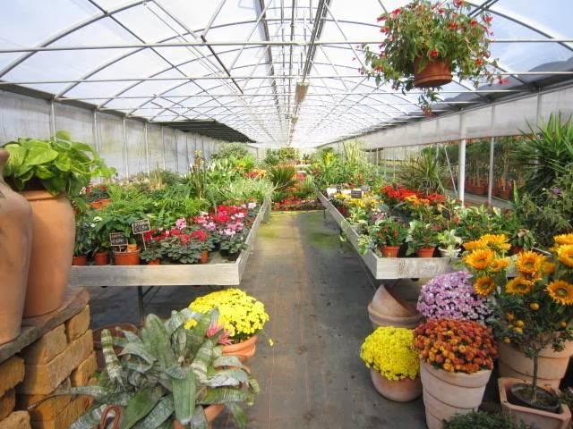 Il Vivaio Del Ponte Di Togni Luca - Angoli Verdi