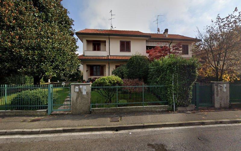 Il mondo verde di Alex Basso - Angoli Verdi