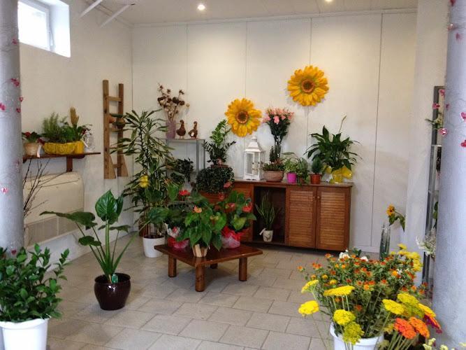 L'EDEN di Jessica Rocca - negozio di fiori e piante - Angoli Verdi