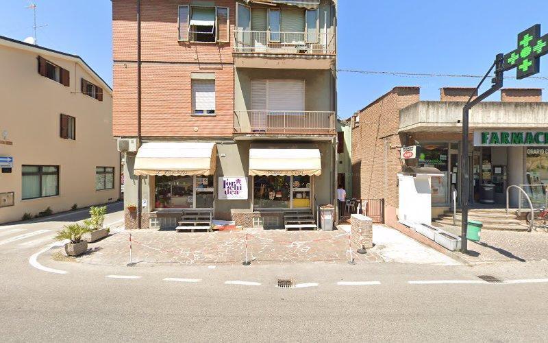 L'Orchidea Di Palazzi Andrea - Angoli Verdi