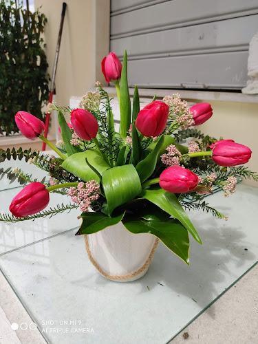 La Calla Di Carbonetta Ivana - Angoli Verdi