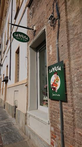 La Pitusa - Fiori e Arte - Angoli Verdi