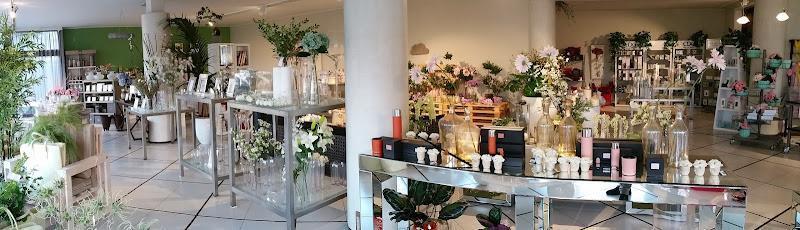 Laboratorio Tazzari Di Fabbri Monica - Angoli Verdi