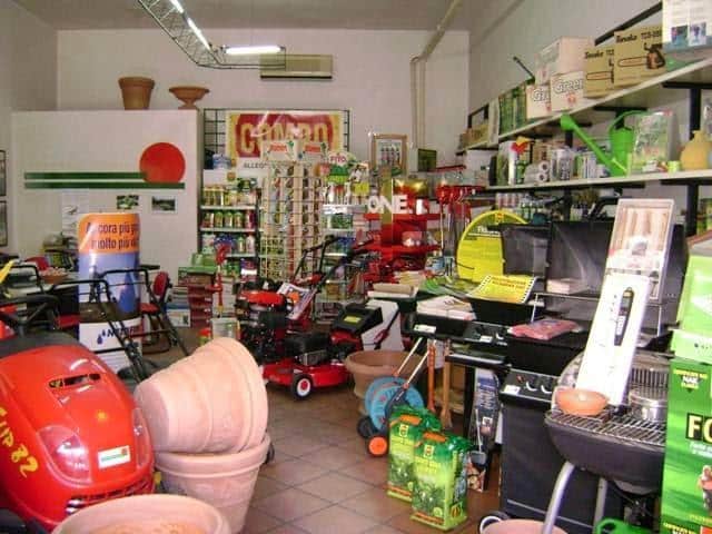 Linea Verde di Angelo Monachino - Angoli Verdi