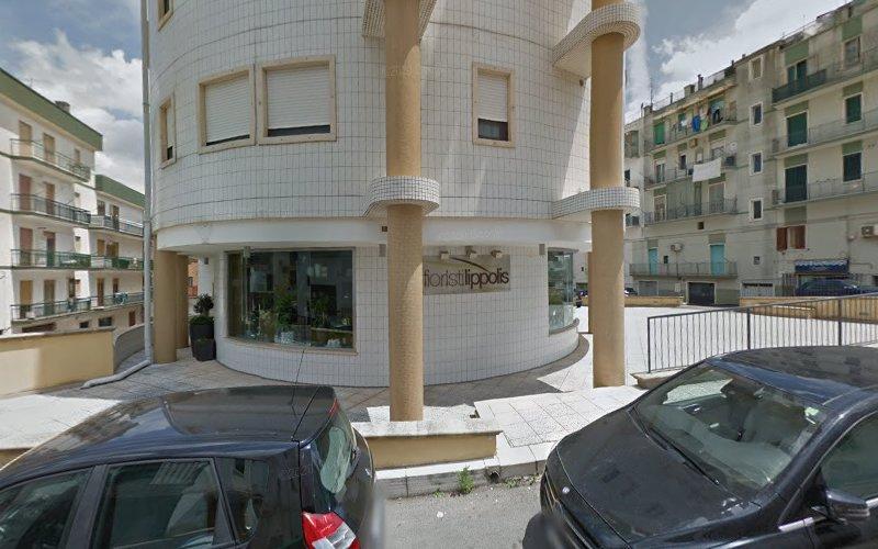 Lippolis Rocco - Angoli Verdi