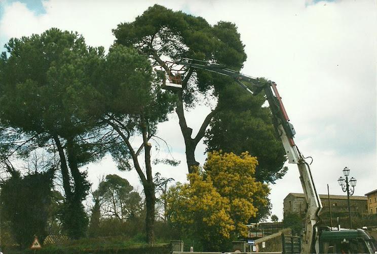 Lisii Mauro - Angoli Verdi