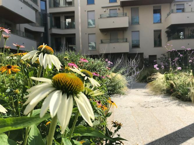 Livingreen Srl - Angoli Verdi