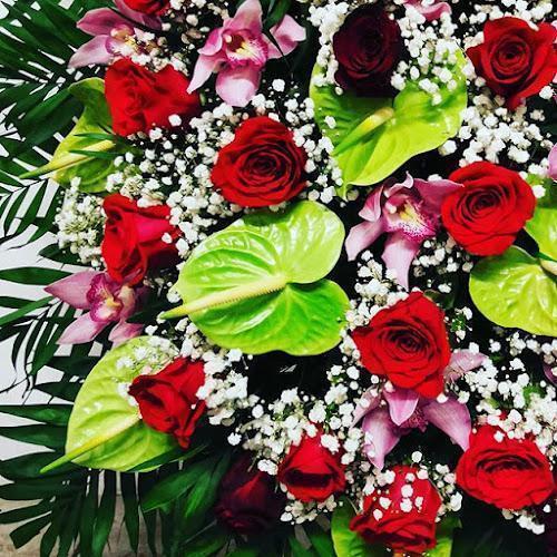 MG Flowers Srls - Angoli Verdi