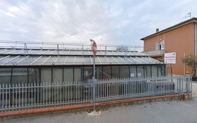 Moretti Umberto - Angoli Verdi