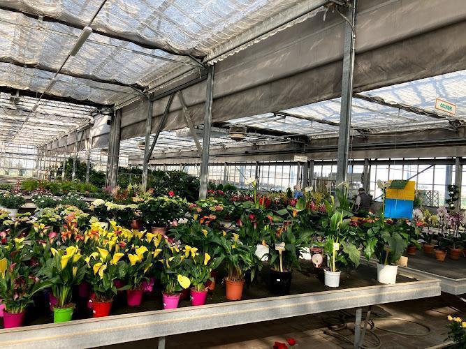 Parma Vivai Società Agricola - Angoli Verdi