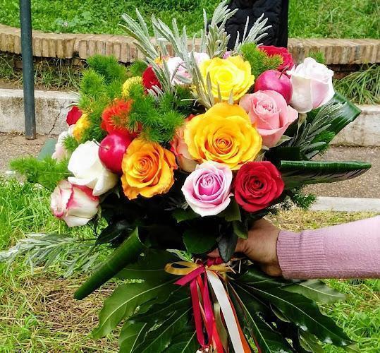 Piante e Fiori Roma - Roma - Angoli Verdi
