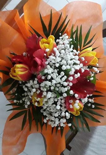 Progetto Verde di Brasca Debora - Angoli Verdi