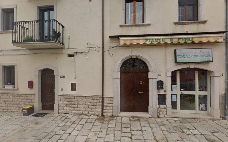 Pucella Carmelina - Angoli Verdi