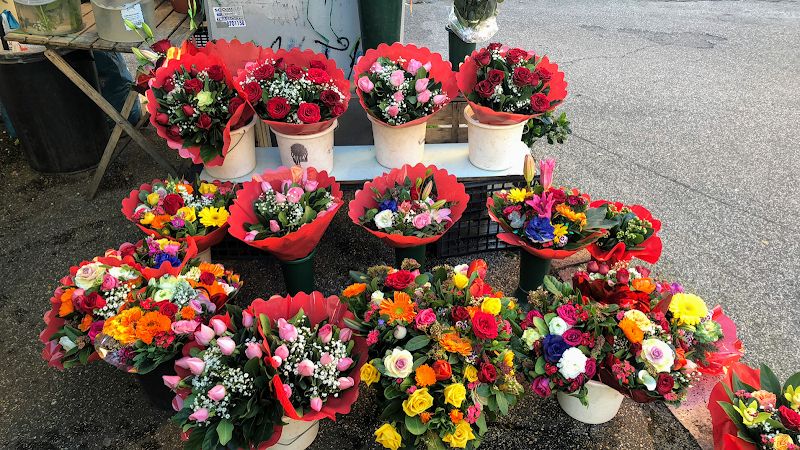 SAH FIORAIO - Angoli Verdi